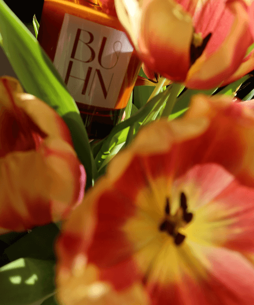 BUHN Candles | Scented Candles | #1 Refillable Candles Company UK – Buhn